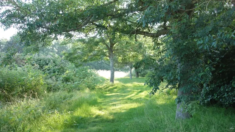River Exe green spaces and heritage harbour site threatened by ...