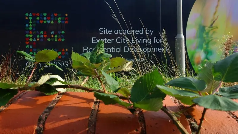 Exeter City Living to be all-but wound up after £4.5 million losses ...